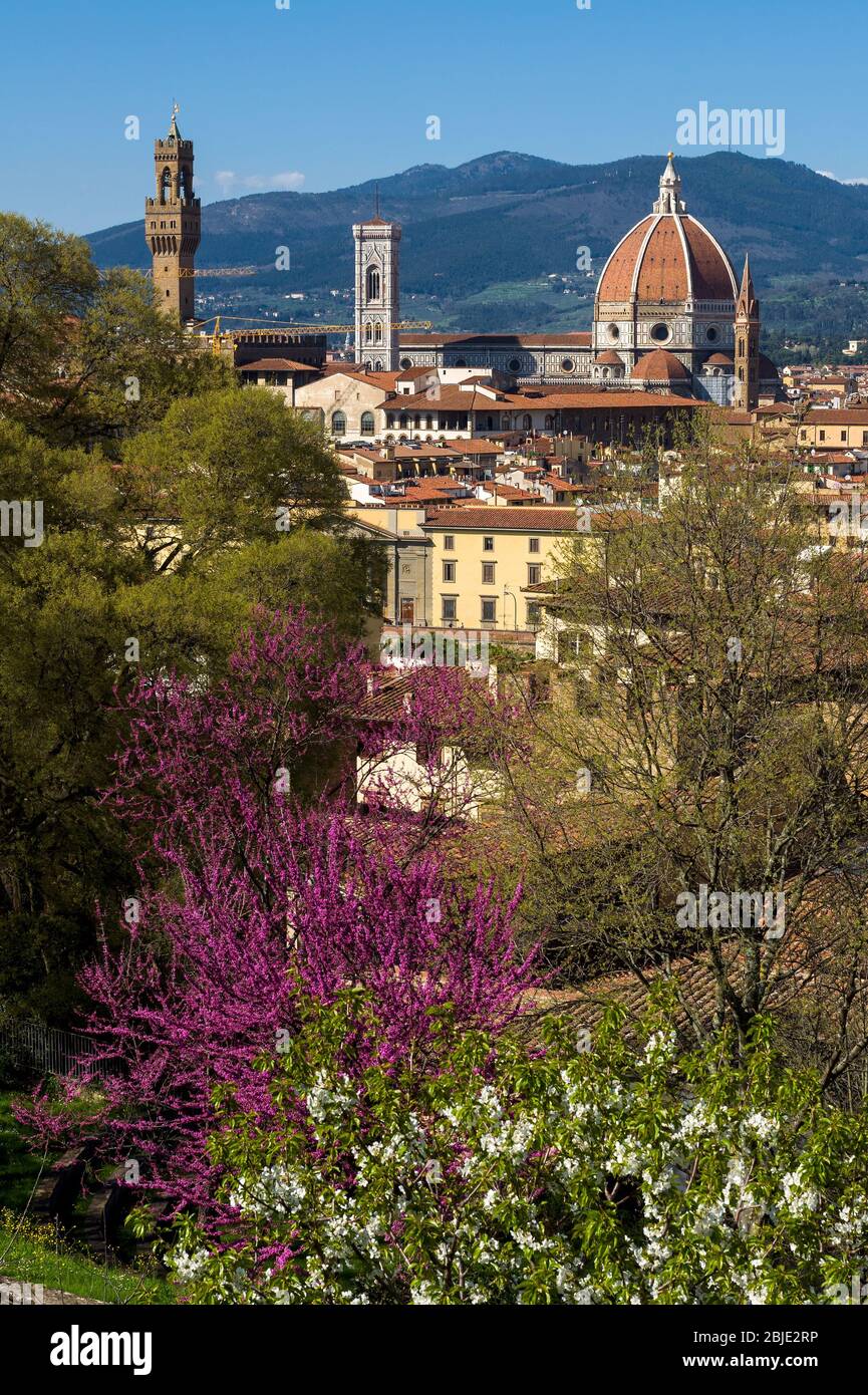 Spring view of the Cathedral of Saint Mary of the Flower (Cattedrale di ...