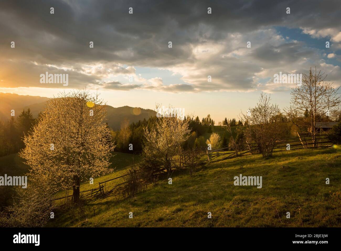 Spring sunset landscape in Bran, Brasov, Transylvania, Romania ...