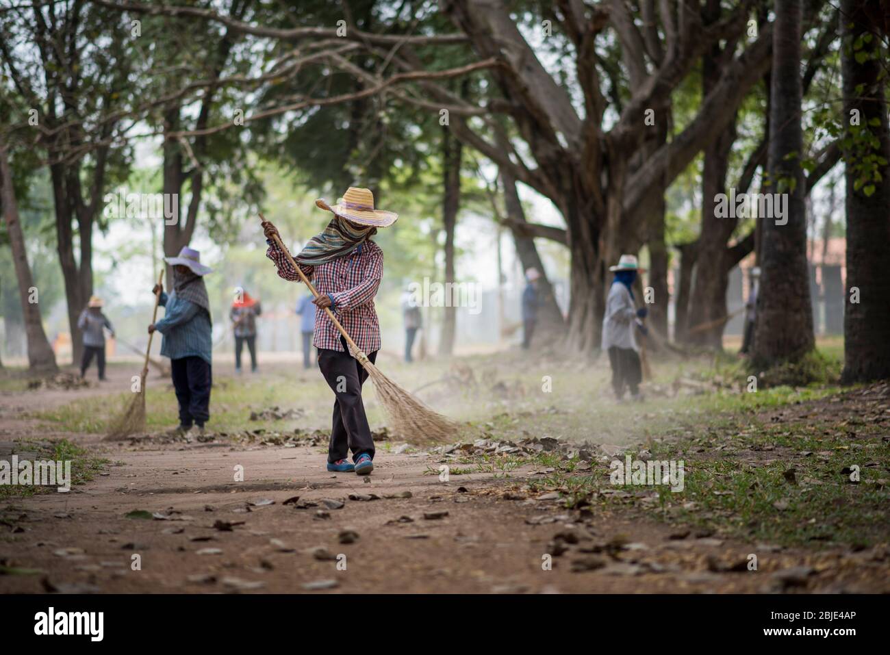 Cleaning squad hi-res stock photography and images - Alamy