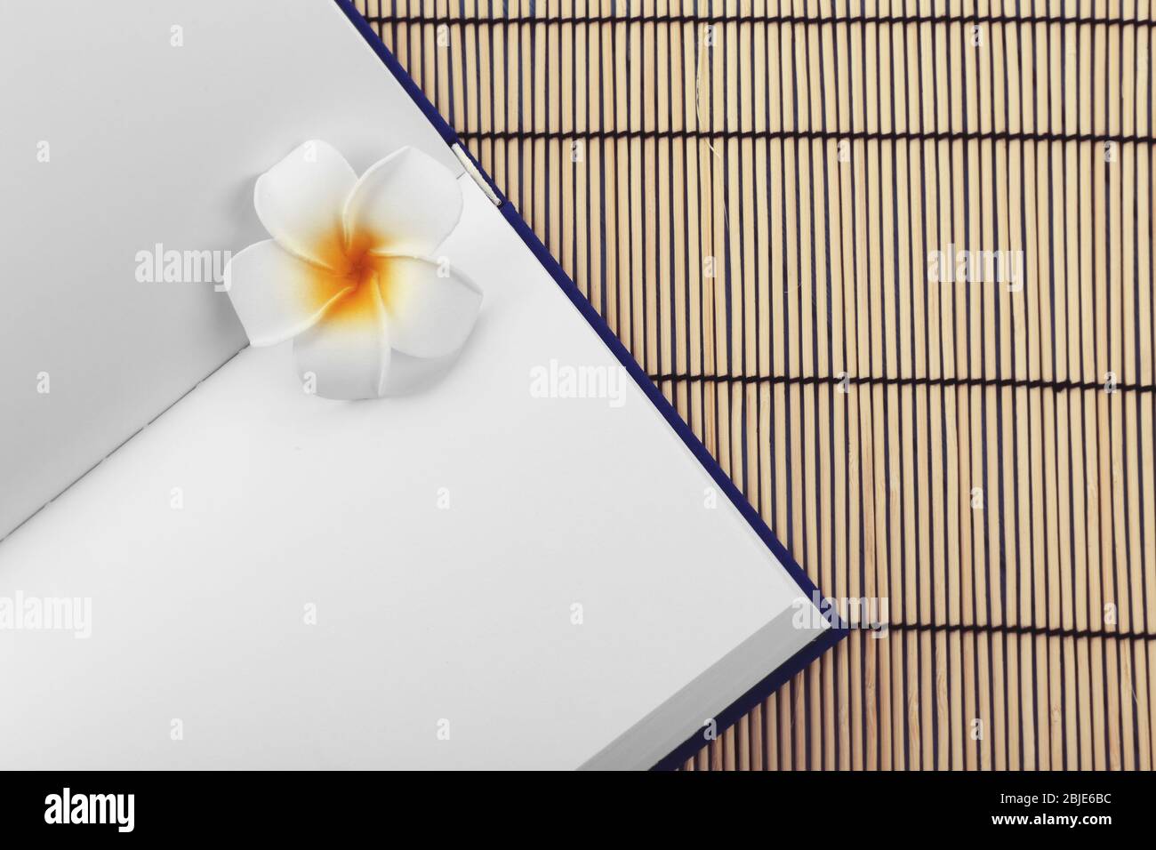 Plumeria flower book on beach hi-res stock photography and images - Alamy