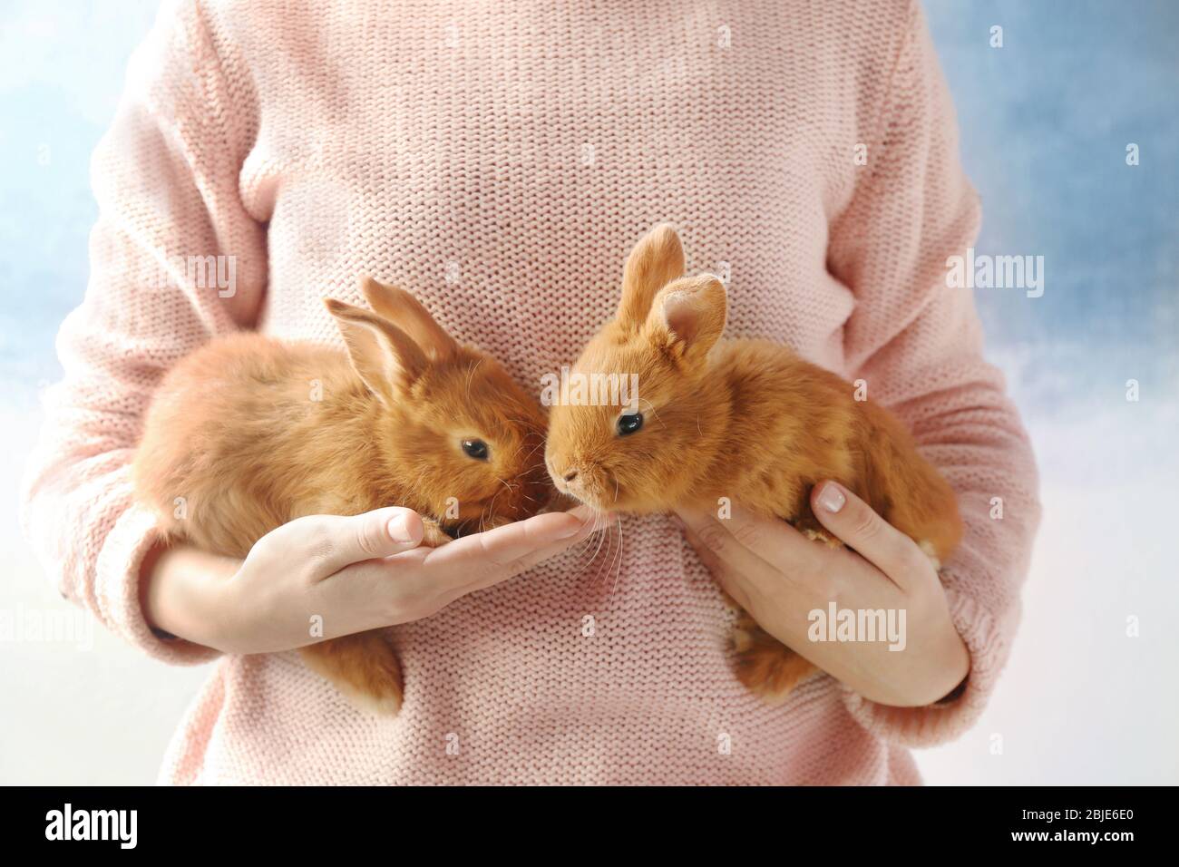 Red bunnies hi-res stock photography and images - Alamy