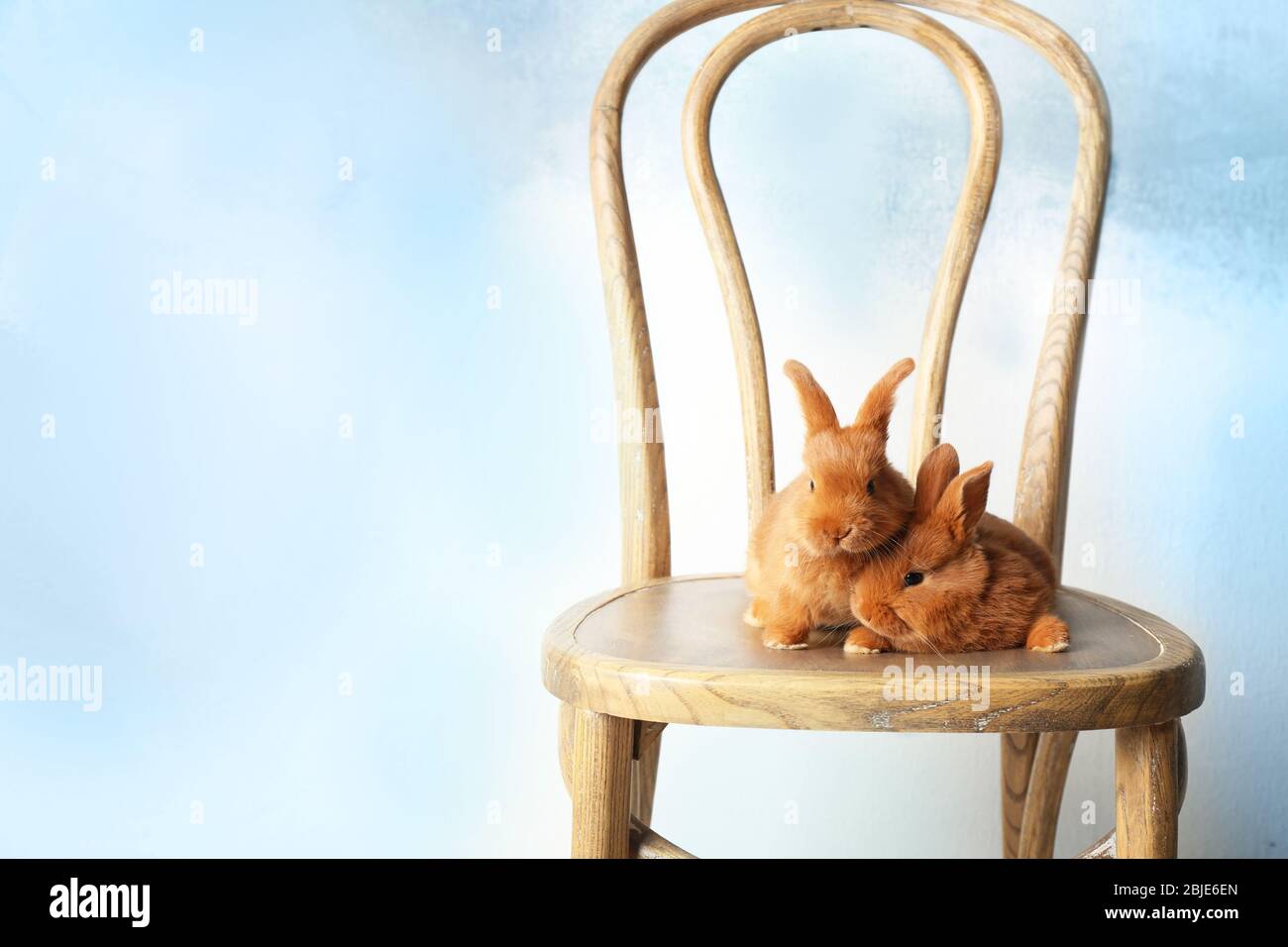Red Bunnies High Resolution Stock Photography and Images - Alamy