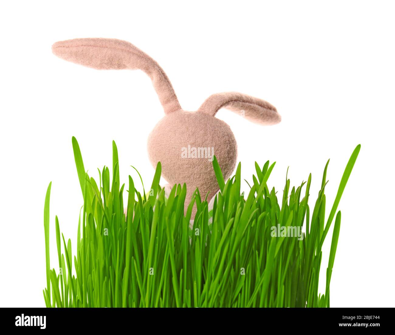 Easter bunny with green grass on white background Stock Photo - Alamy