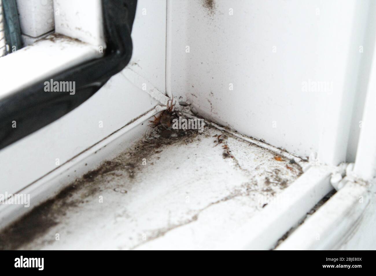 Dirty window block. Contaminated areas of a plastic window Stock Photo ...