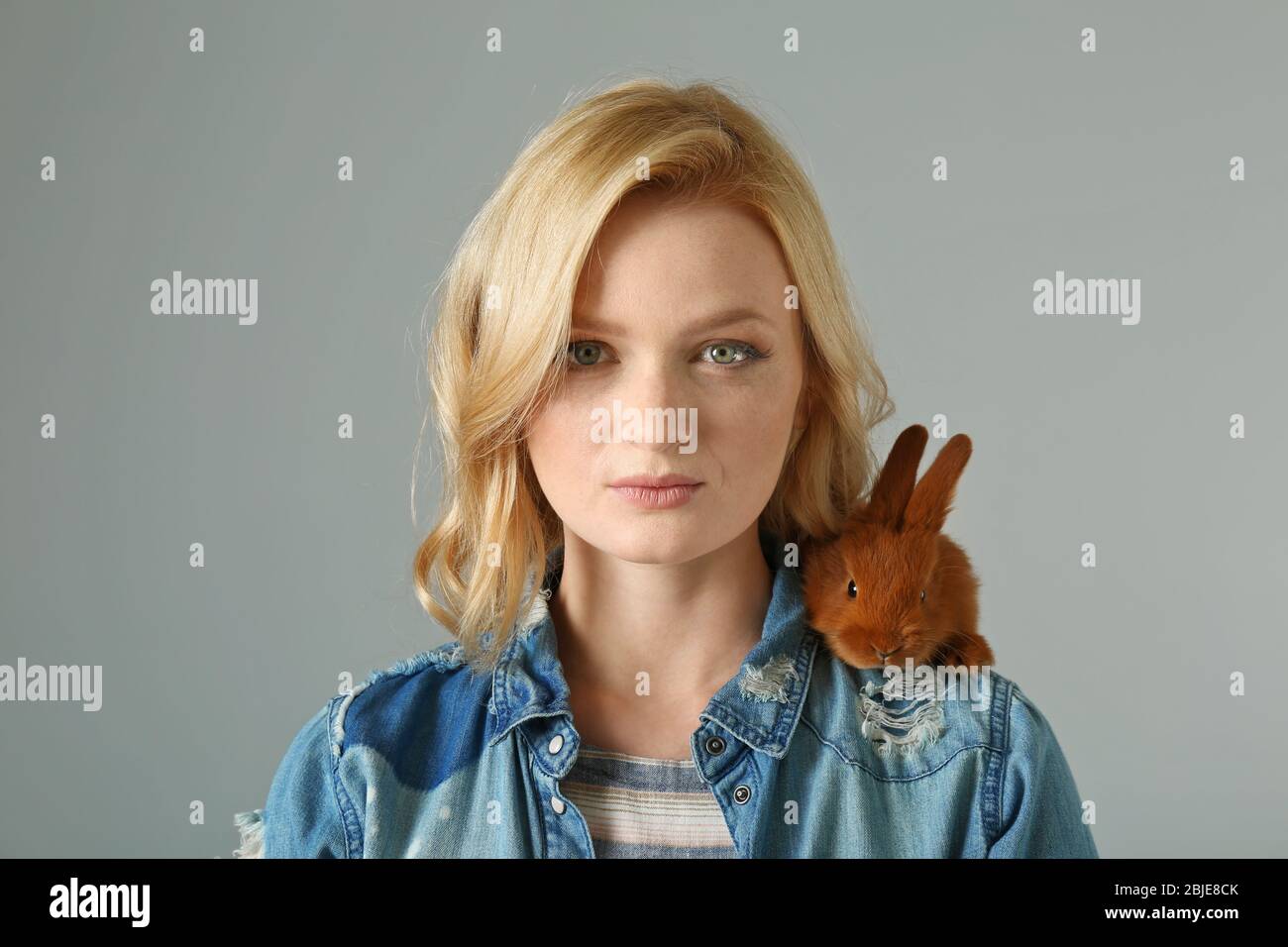 Small rabbit on female shoulder on grey background Stock Photo - Alamy