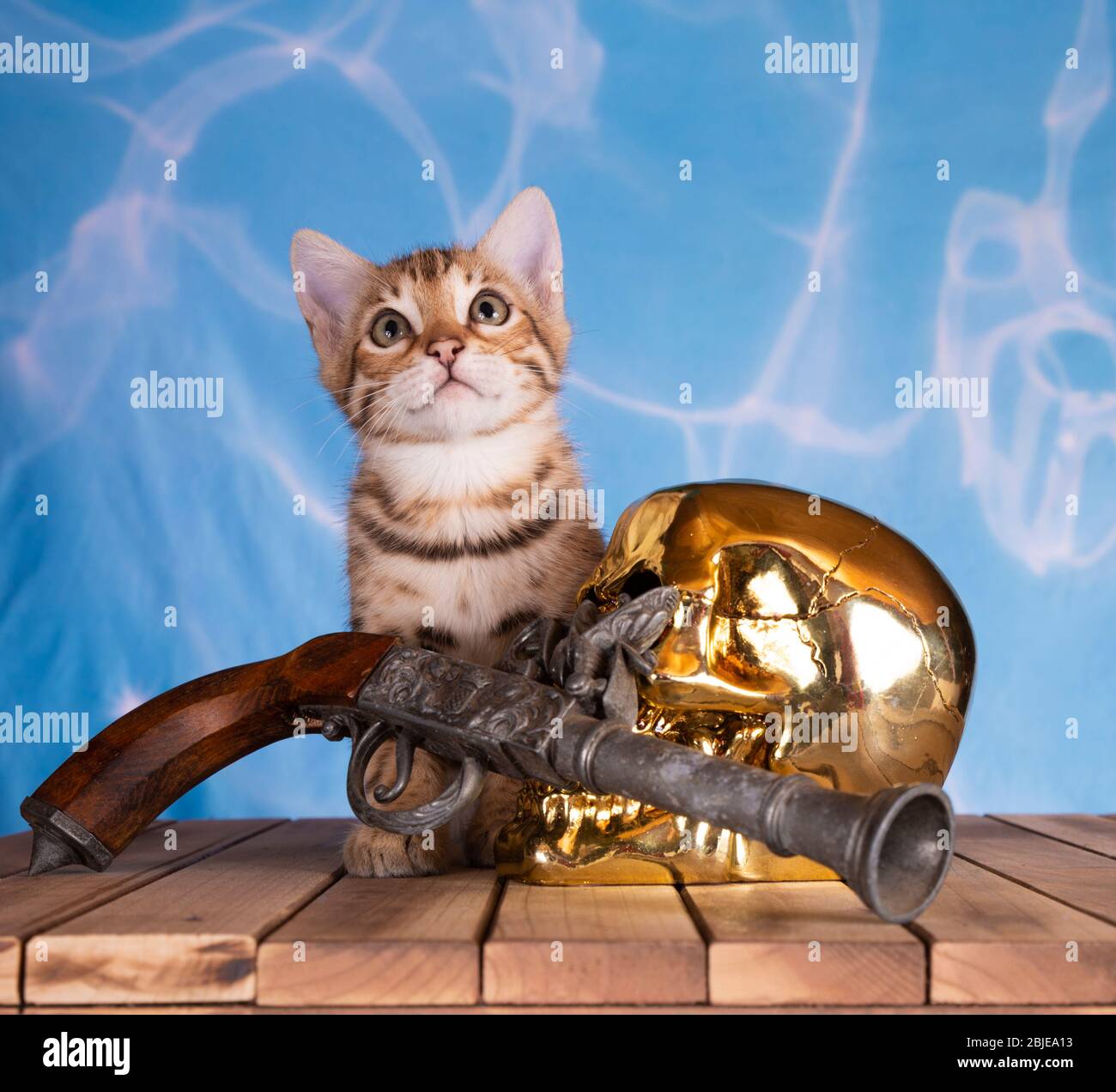 Animals Holding Weapons