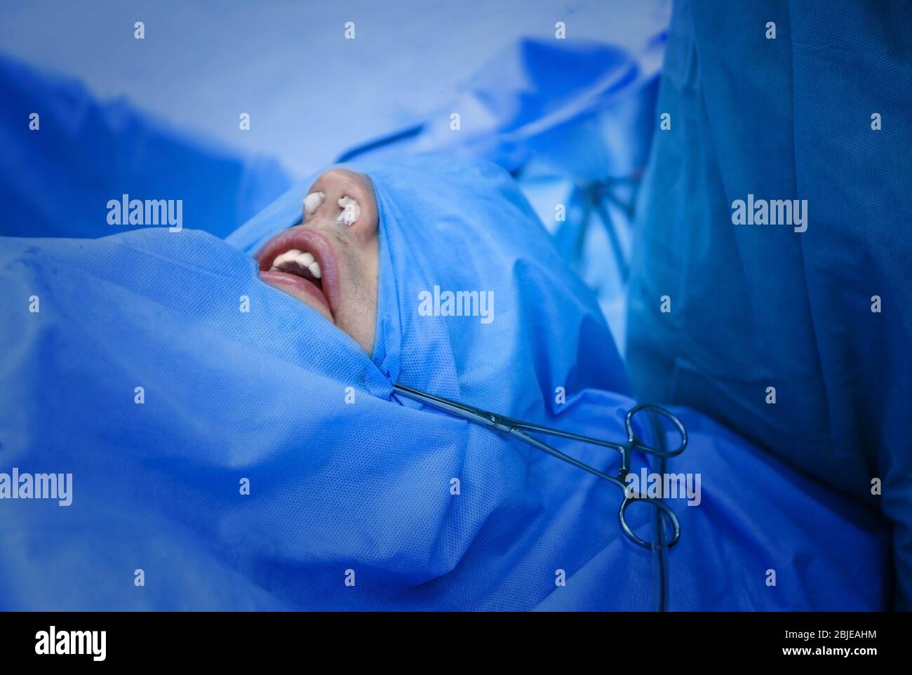 Rhinobyon hi-res stock photography and images - Alamy