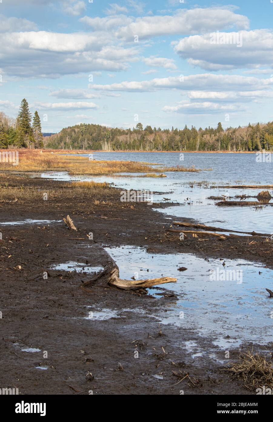 Spring scenic hi-res stock photography and images - Alamy