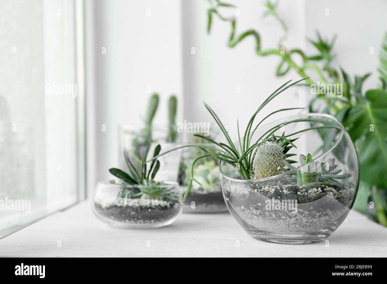 Glass Terrarium High Resolution Stock Photography and Images - Alamy