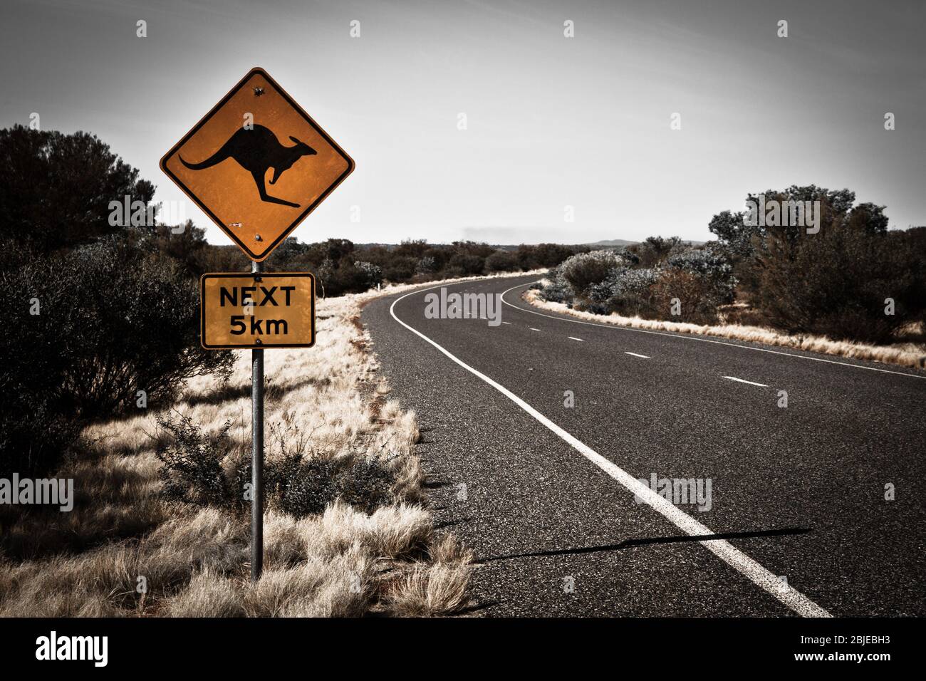 Kangaroo sign outback Australia Stock Photo - Alamy