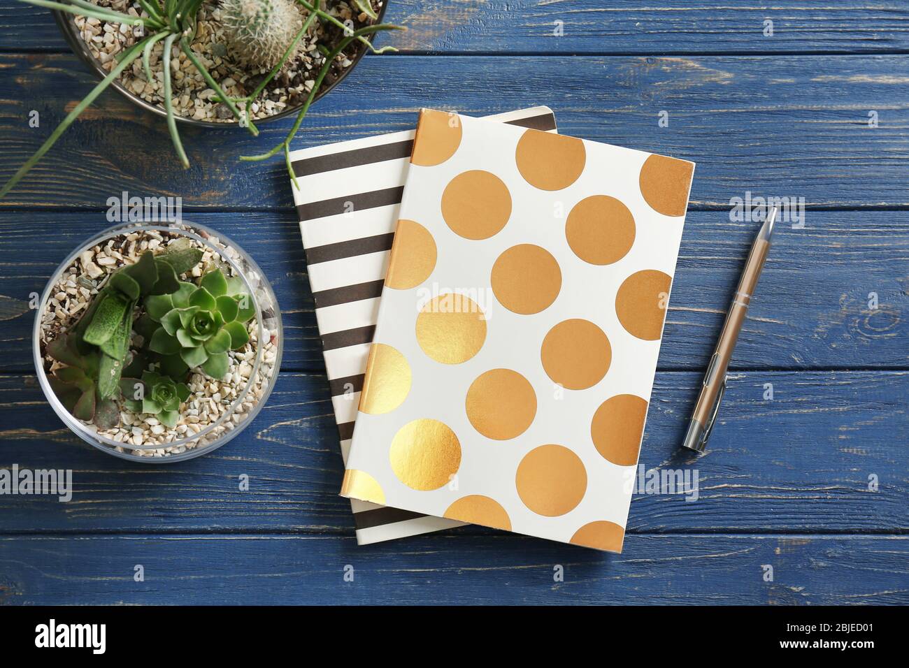 Glass florarium hi-res stock photography and images - Alamy