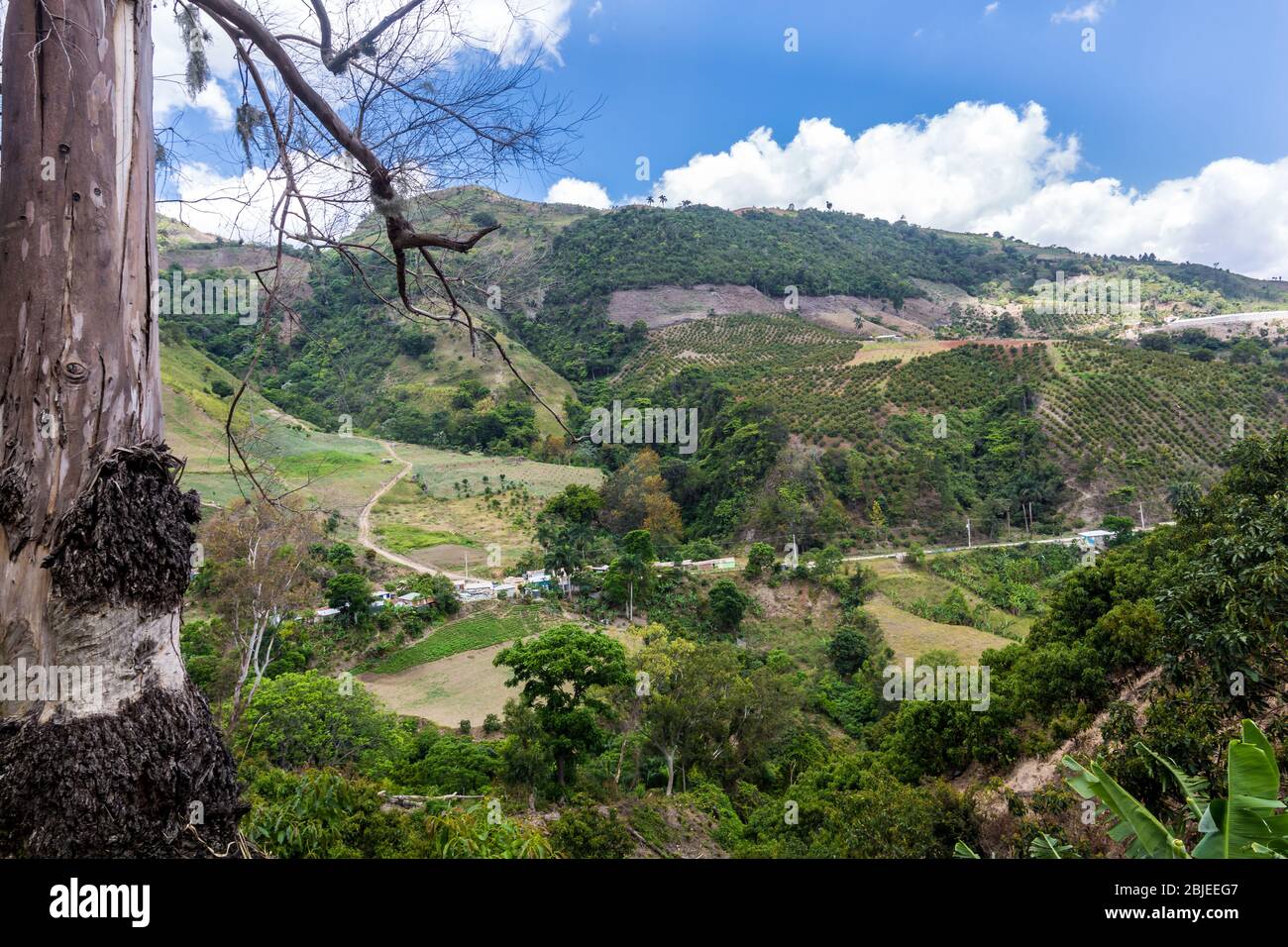 dramatic image of caribbean countryside of farms and agriculture field ...
