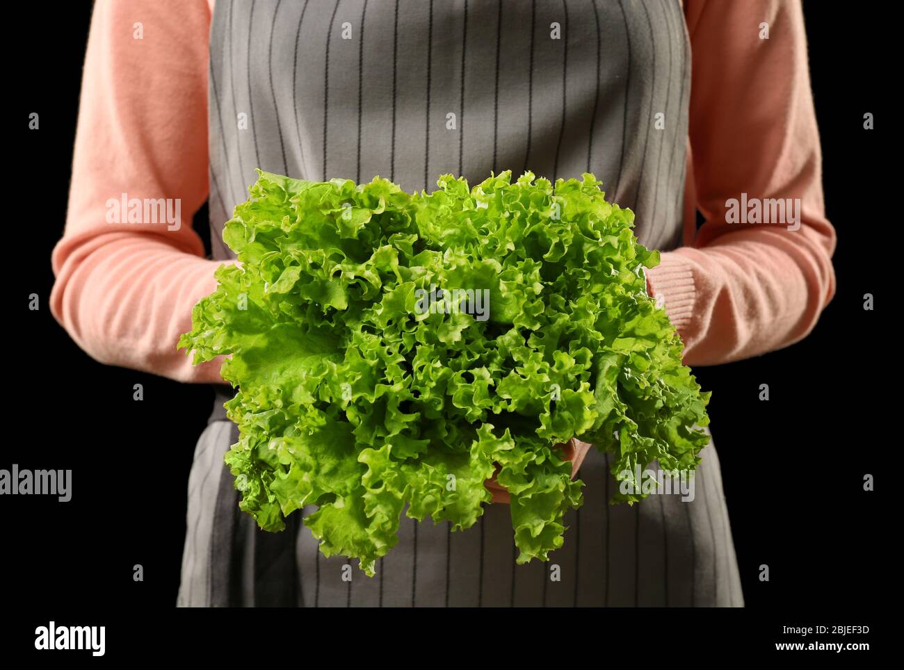 Housewife in apron bunch hi-res stock photography and images - Alamy
