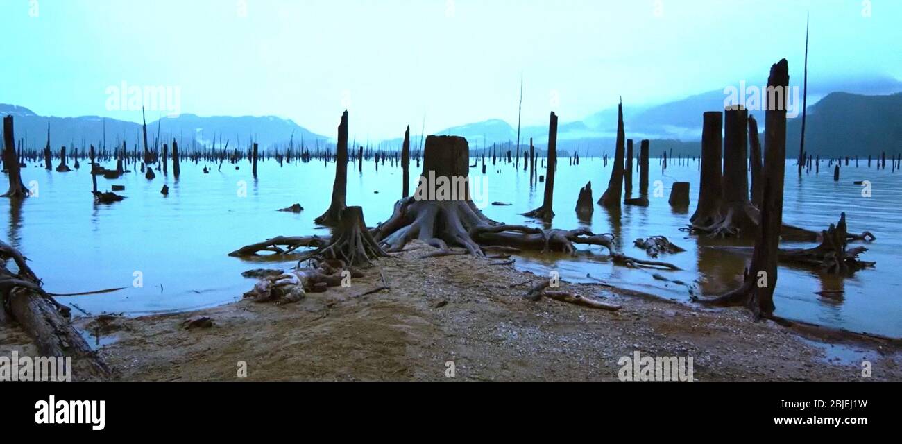 THE SOURCE OF SHADOWS, (segment: Bestia), 2020. © Freestyle Digital ...