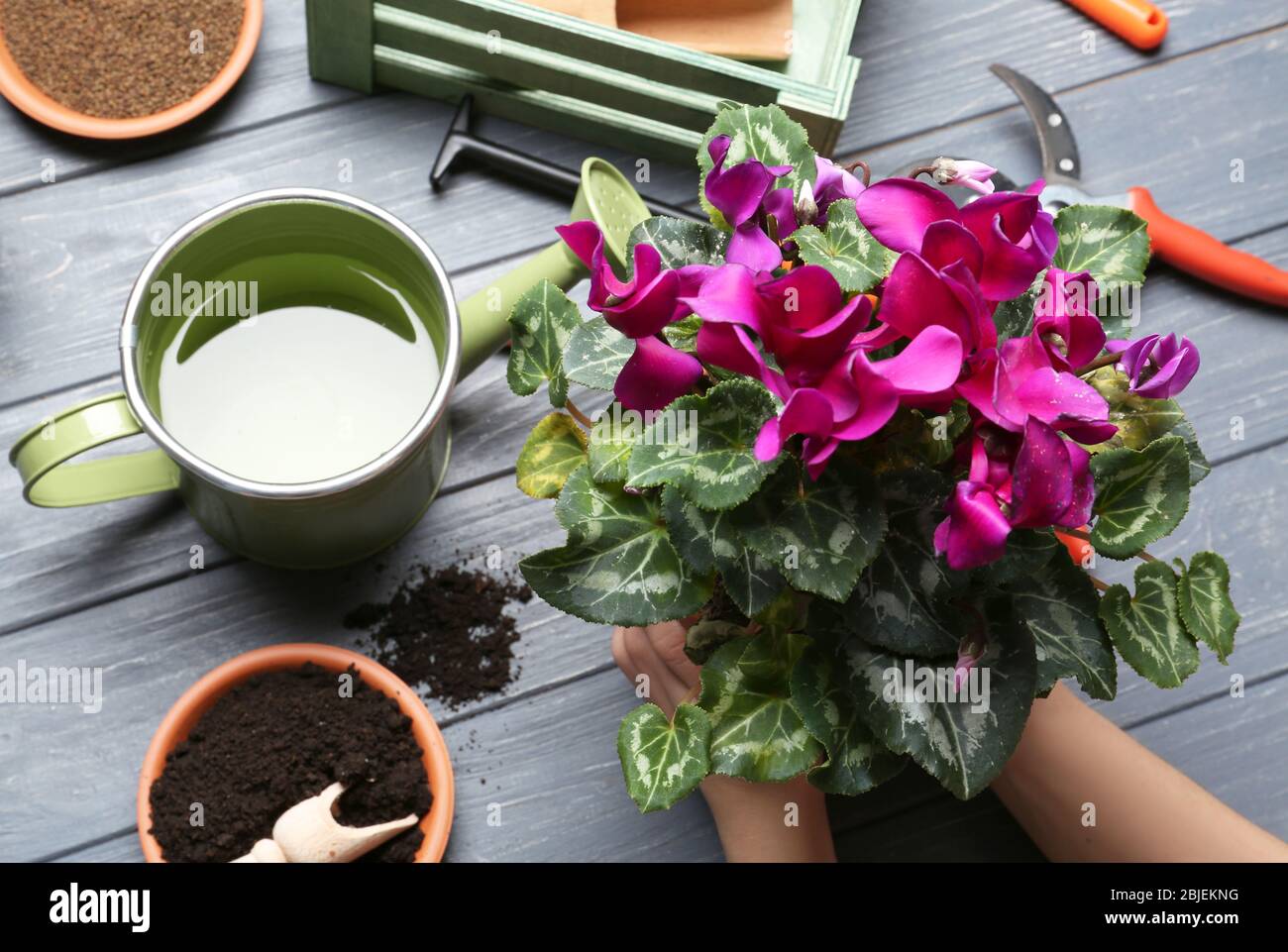 Step by step flower planting hi-res stock photography and images - Alamy
