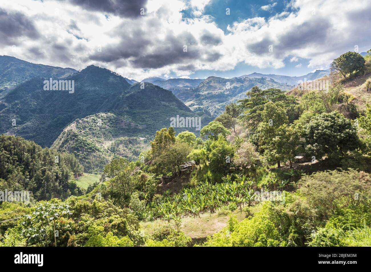 dramatic image of caribbean countryside of farms and agriculture field ...
