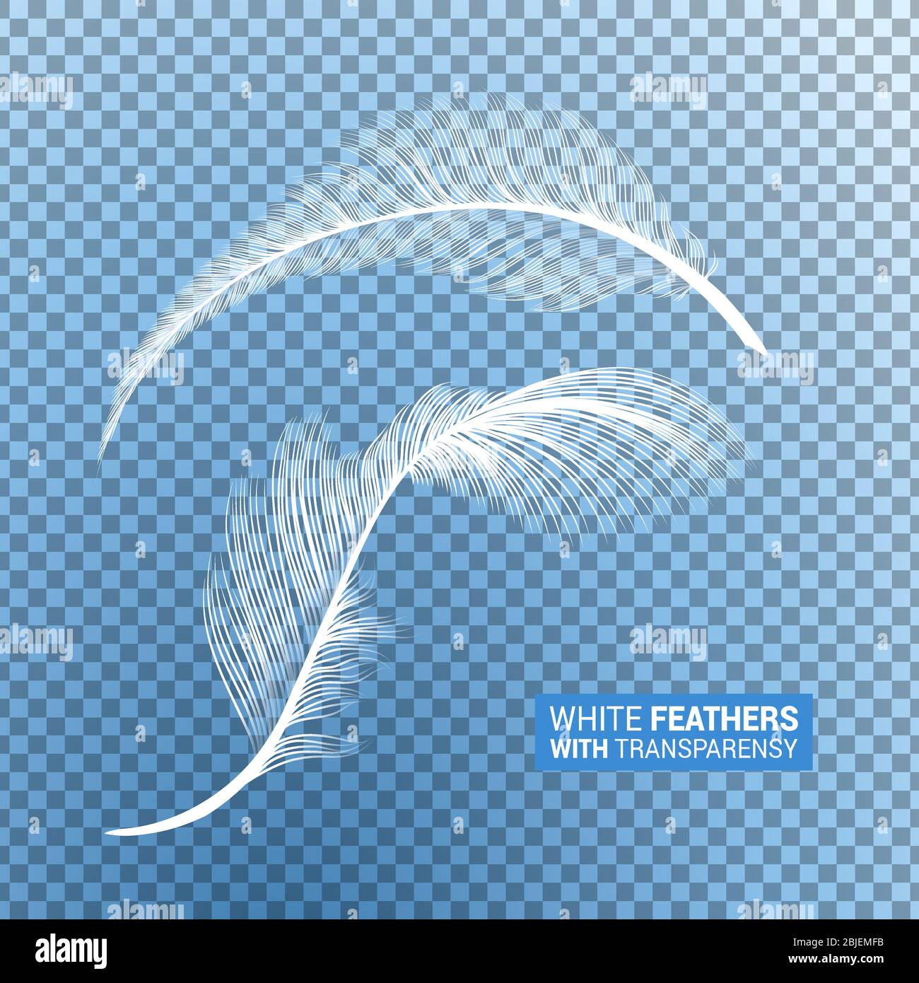 Plumage texture Stock Vector Images - Alamy