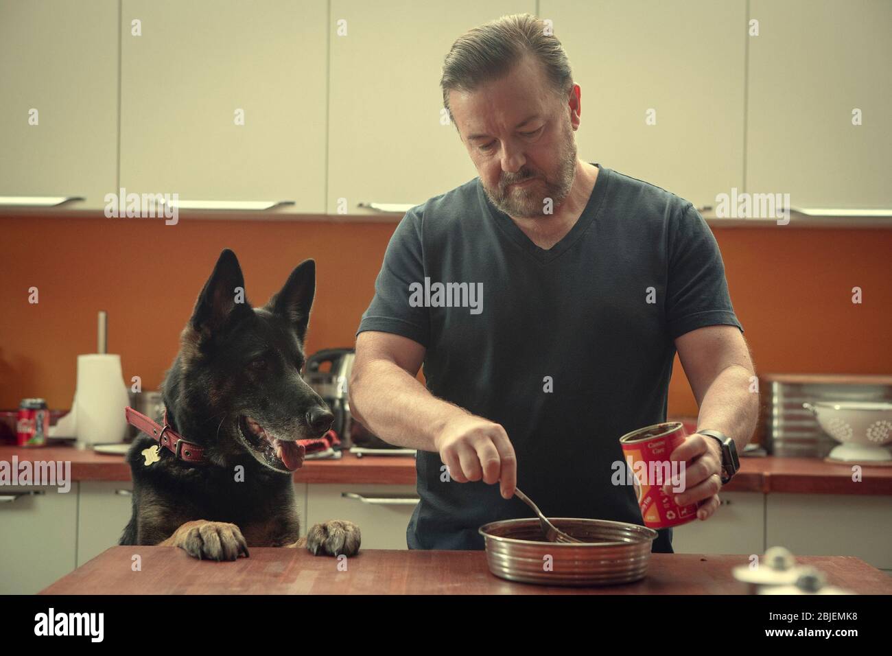 AFTER LIFE, from left: Anti (the dog), Ricky Gervais, (Season 2, aired ...