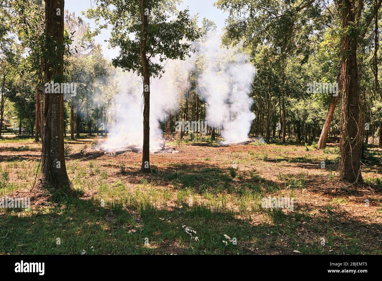 Burn pile hi-res stock photography and images - Alamy