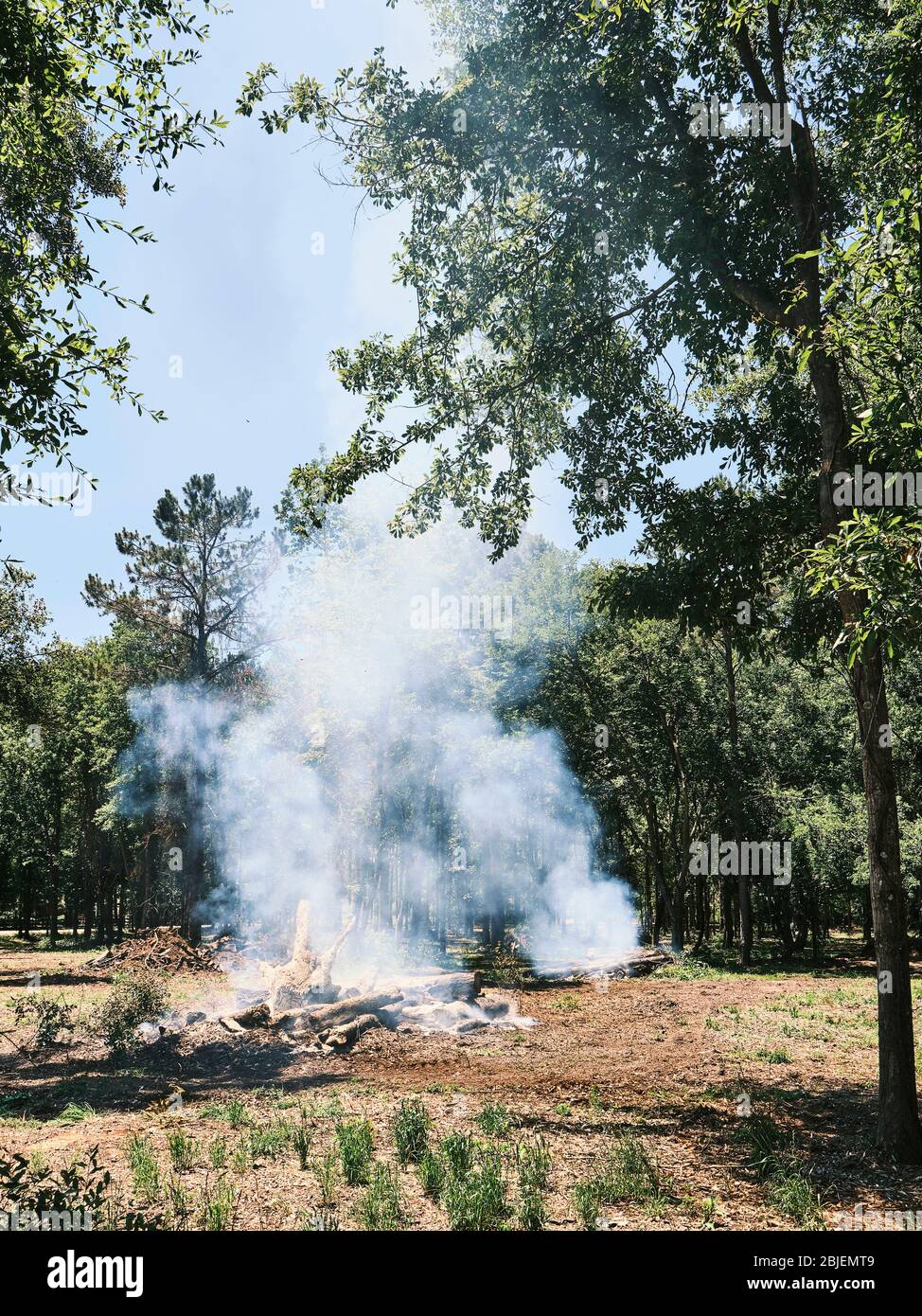 Slash pile burn hi-res stock photography and images - Alamy