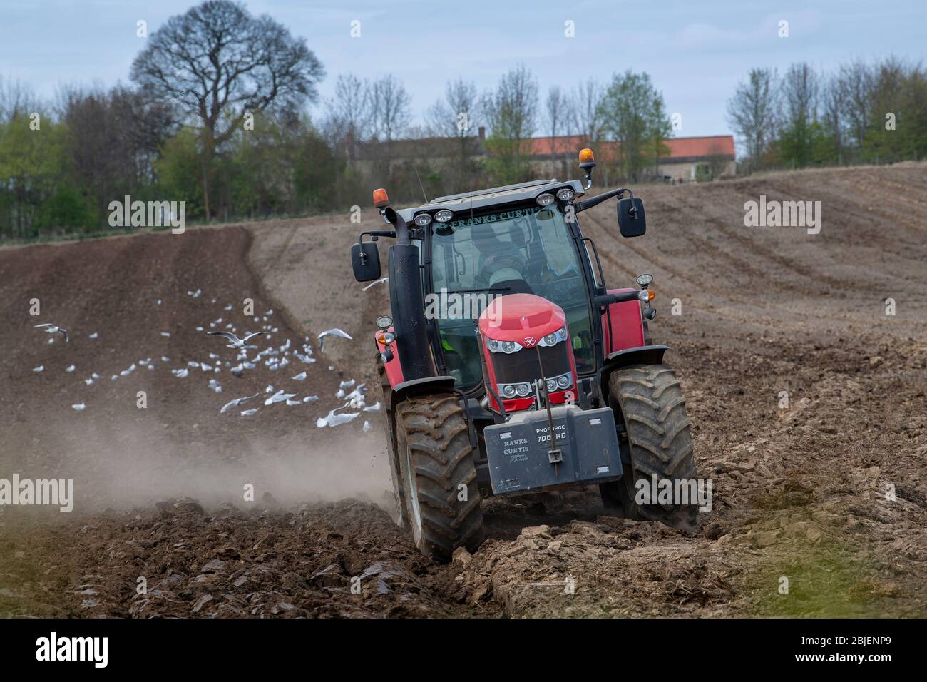 Ploughing arable ground with a Massey Ferguson and a 4 furrow ...
