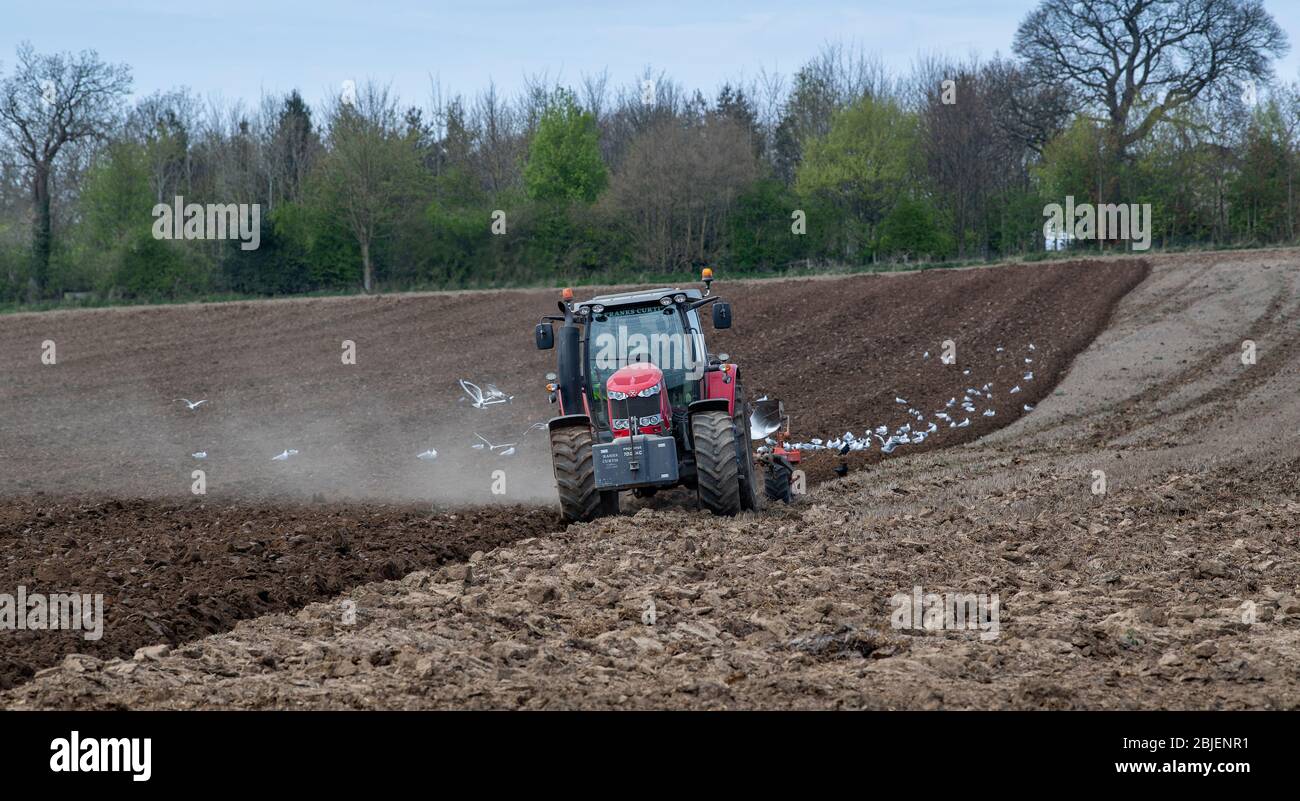 Massey ferguson tractor ploughing farm hi-res stock photography and ...