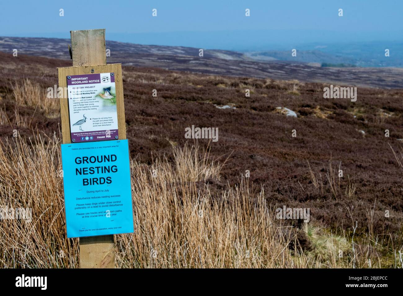 Birds nesting warning sign on hi-res stock photography and images - Alamy