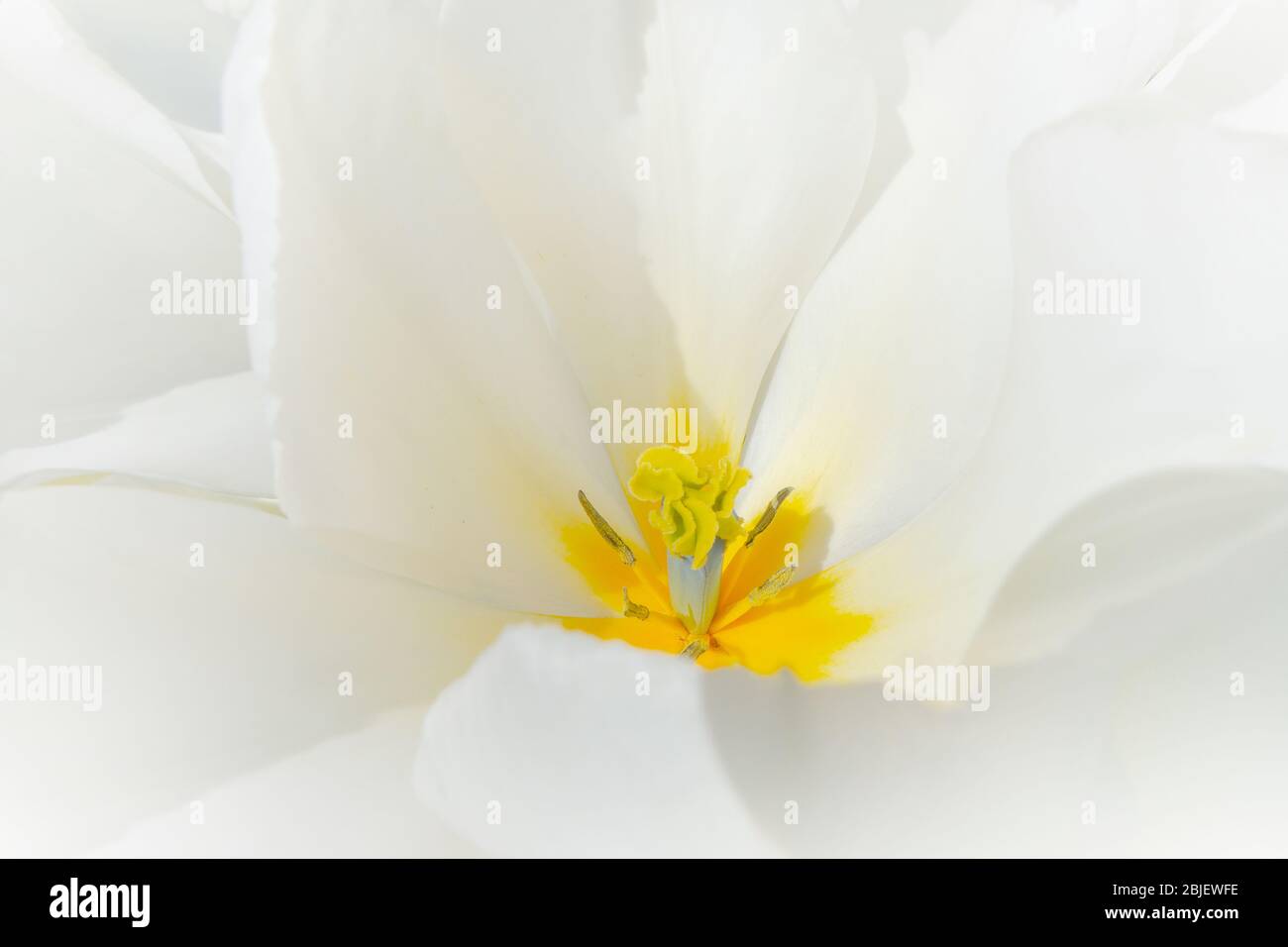 Orange core hi-res stock photography and images - Alamy