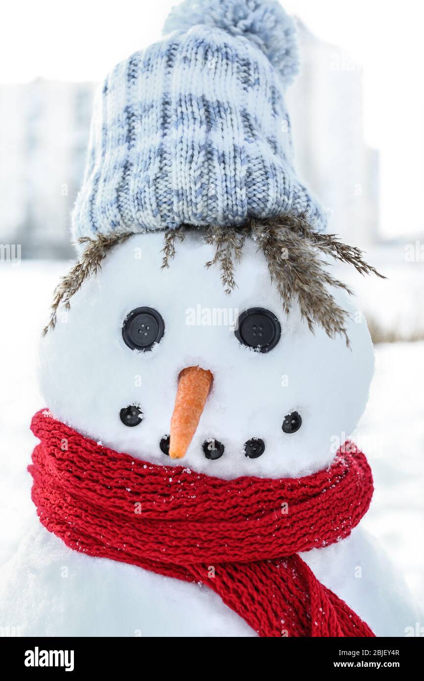 Christmas holiday concept. Funny snowman in wintertime Stock Photo - Alamy