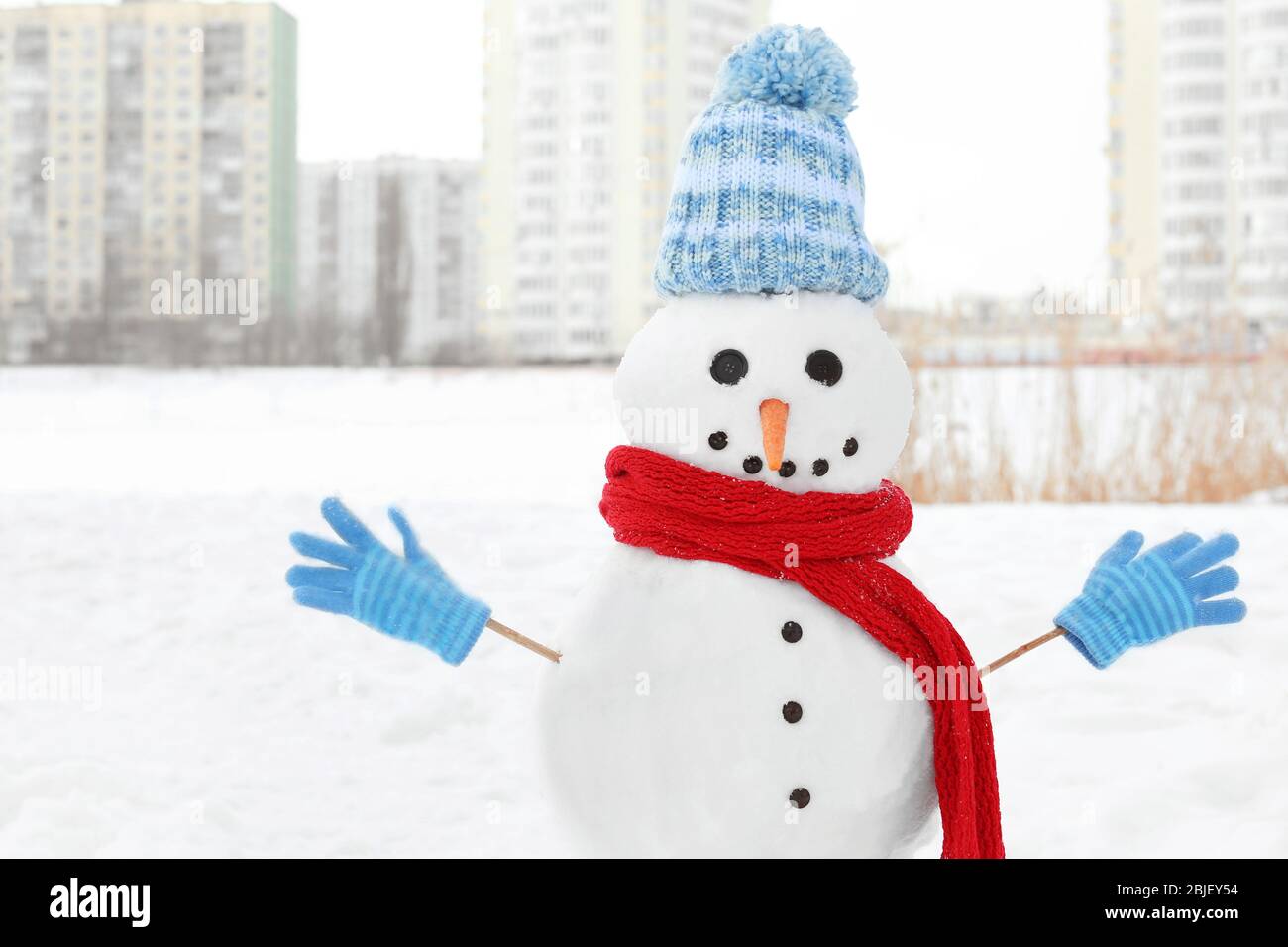 Christmas holiday concept. Funny snowman in wintertime Stock Photo - Alamy