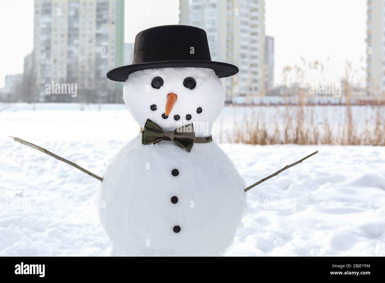 Christmas holiday concept. Funny snowman in wintertime Stock Photo - Alamy