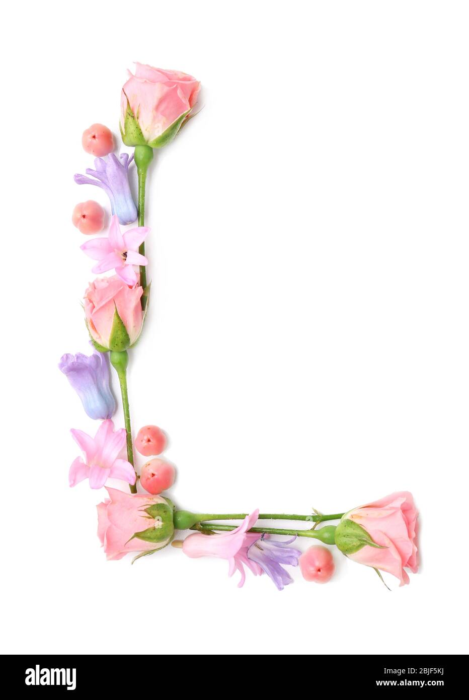Letter L made of flowers on white background Stock Photo - Alamy