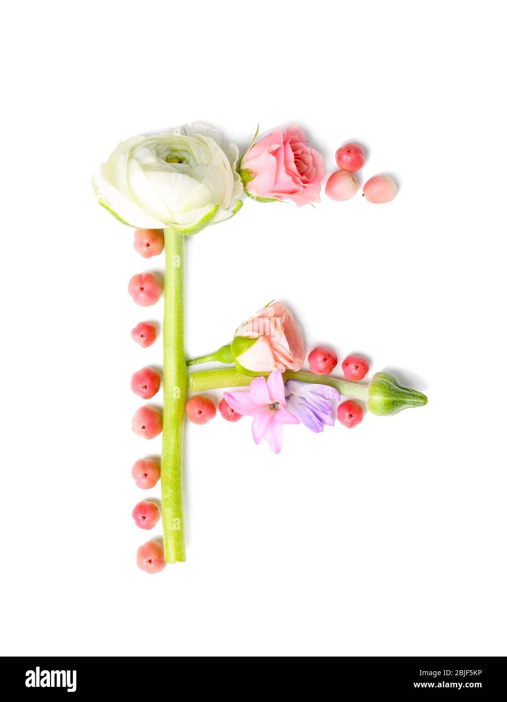 Letter f plants hi-res stock photography and images - Alamy