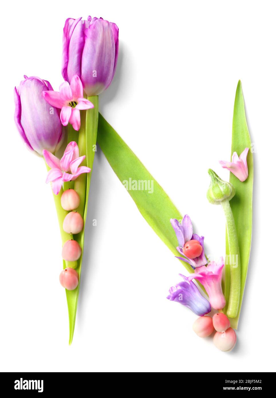 Letter N Flowers Cut Out Stock Images & Pictures - Alamy