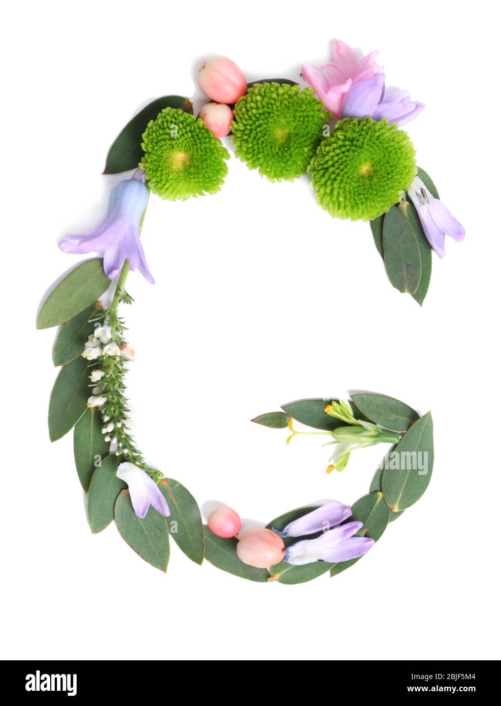 Letter g flowers Cut Out Stock Images & Pictures - Alamy