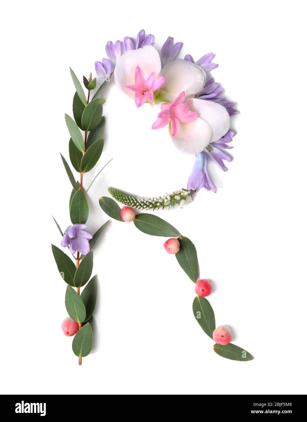Letter R made of flowers and herbs on white background Stock Photo - Alamy