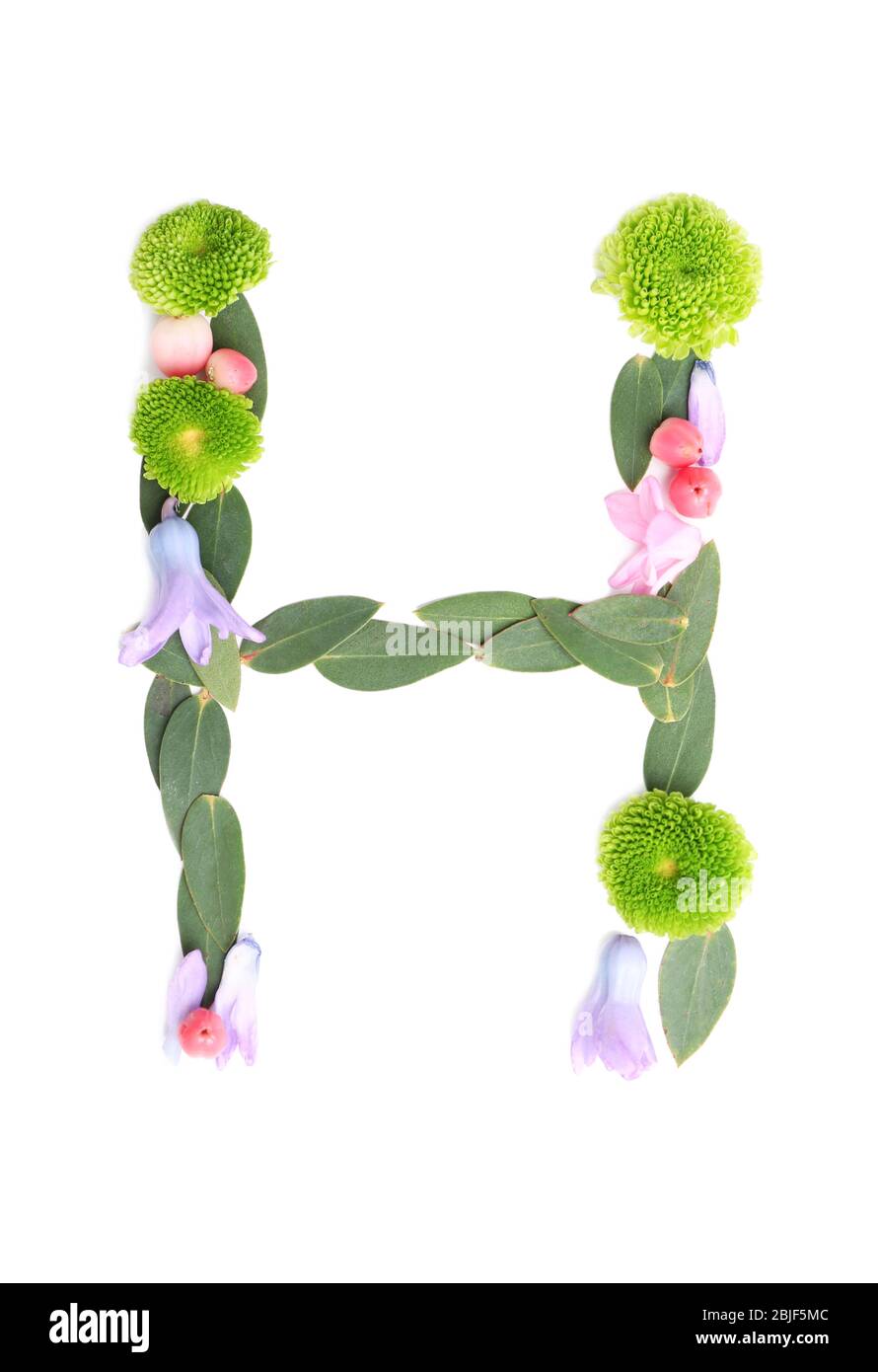 Letter H Flowers High Resolution Stock Photography and Images - Alamy