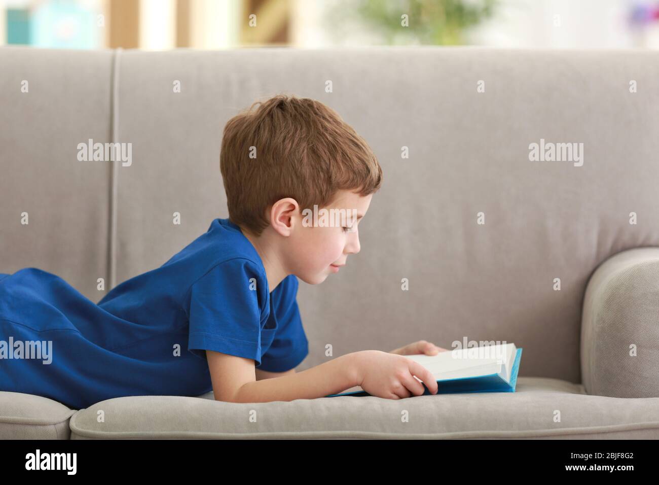 Little boy reading book on sofa indoors Stock Photo - Alamy