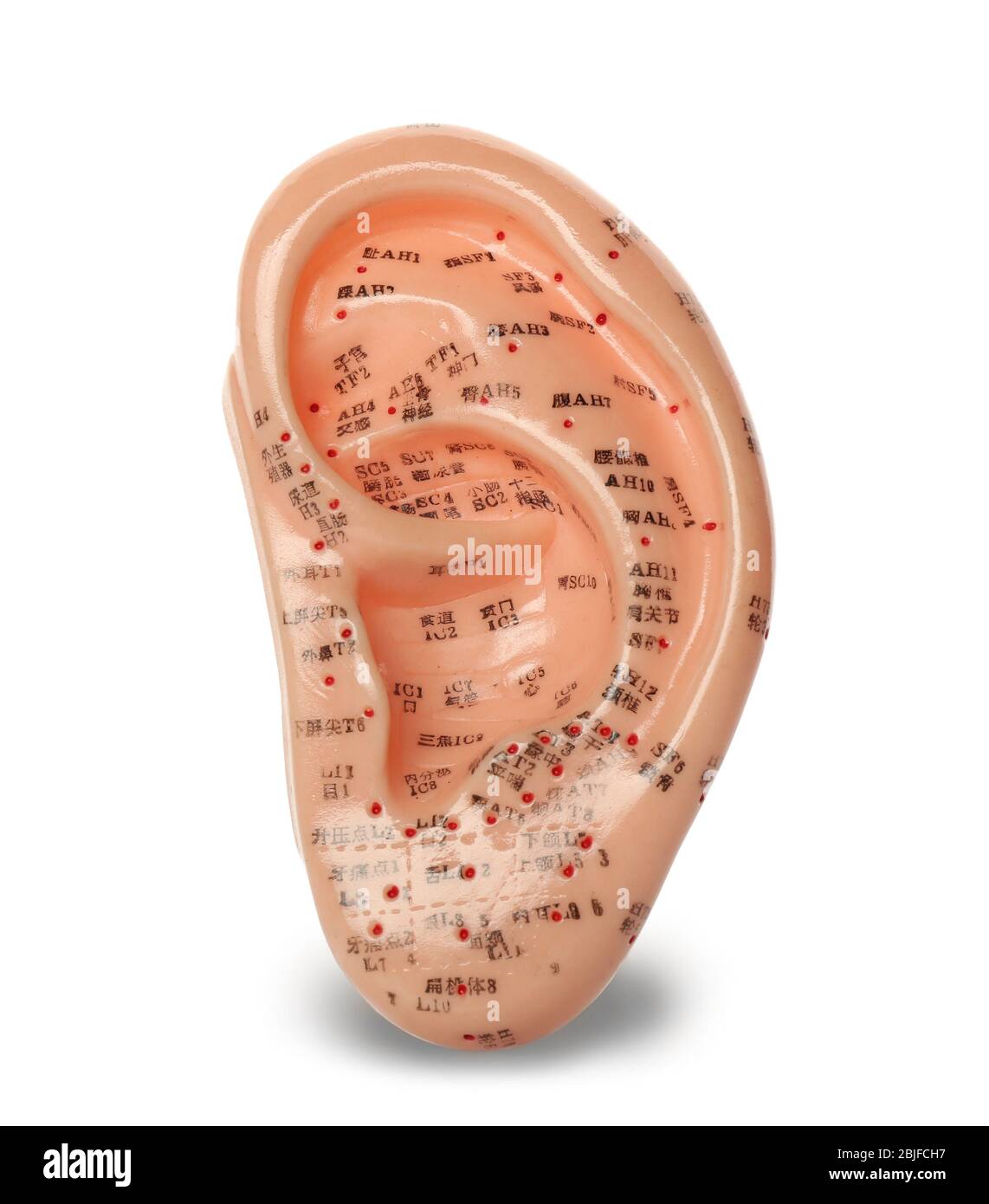 Acupressure ear hi-res stock photography and images - Alamy