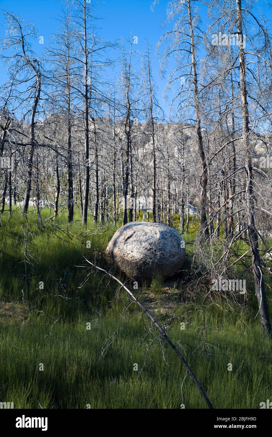 Serra da Estrela mountain range in the Natural Park. Glacial erratics ...