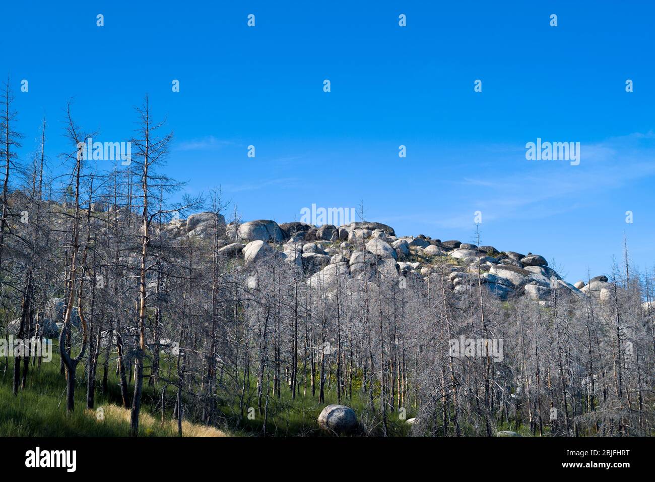 Serra da Estrela mountain range in the Natural Park. Sunlight through ...