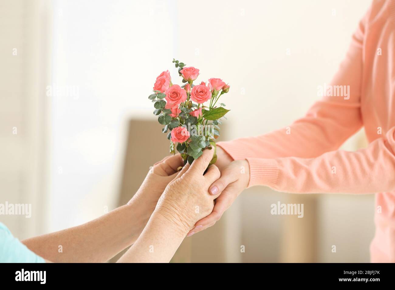 Hands giving flowers hi-res stock photography and images - Alamy