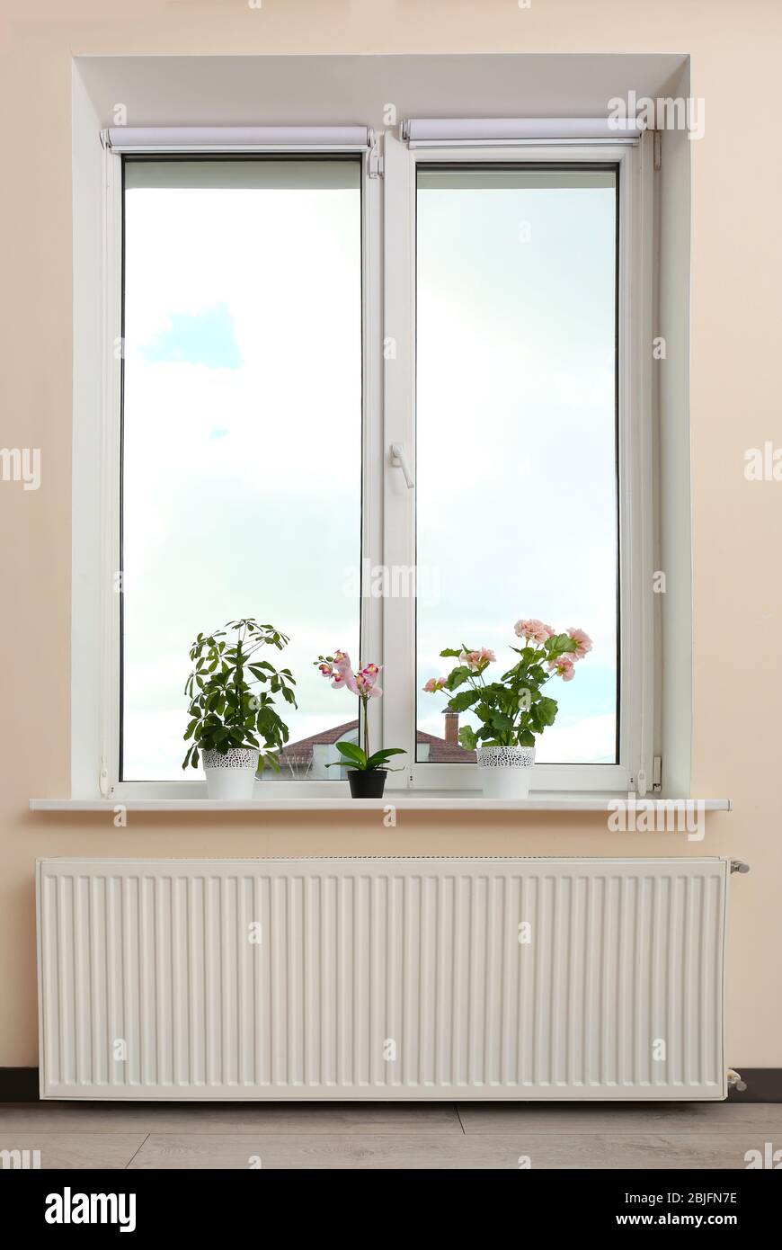 Big window with plants on sill at home Stock Photo - Alamy
