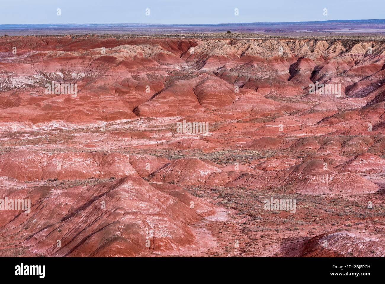 Arizona desert scenery hi-res stock photography and images - Alamy