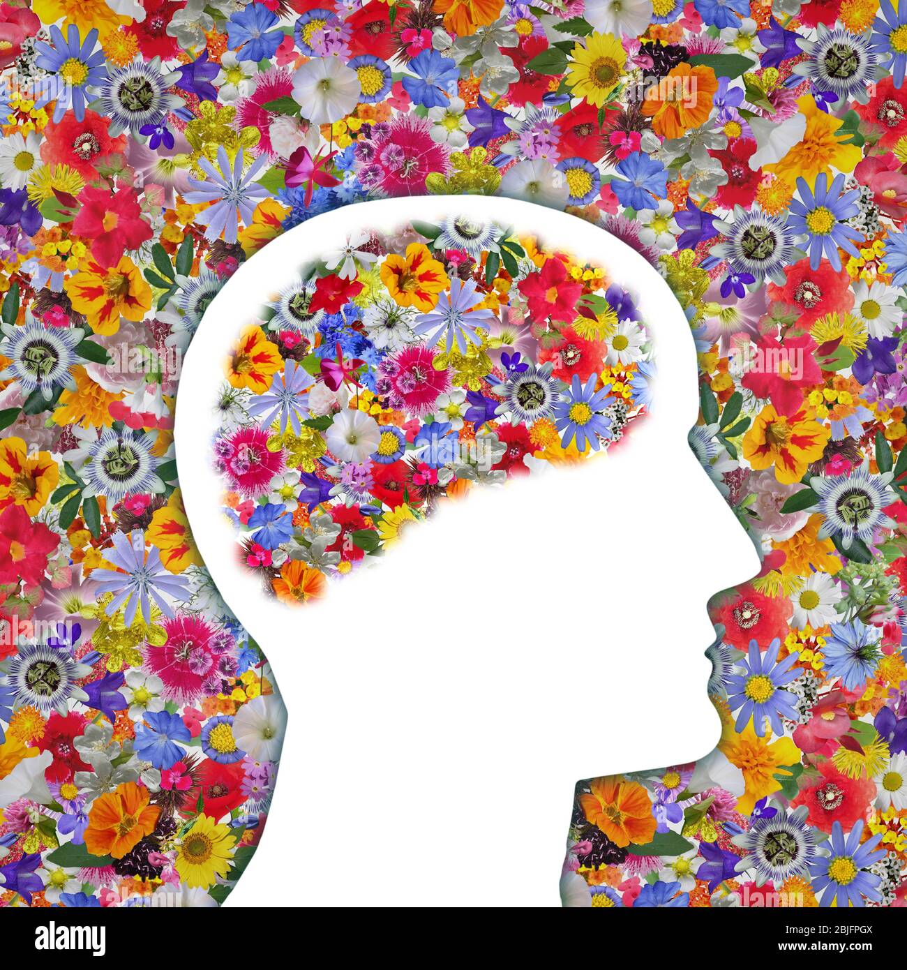 Human brain montage hi-res stock photography and images - Alamy