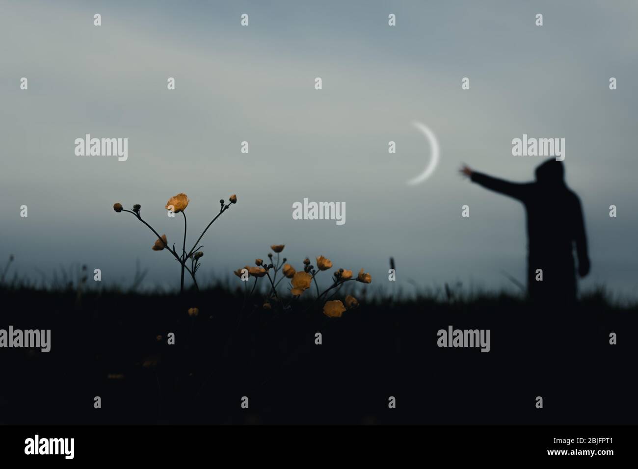 Standing figure reaching up hi-res stock photography and images - Alamy