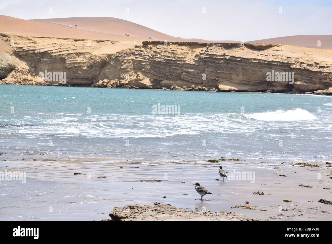 Sceery in Paracas, Peru Stock Photo - Alamy