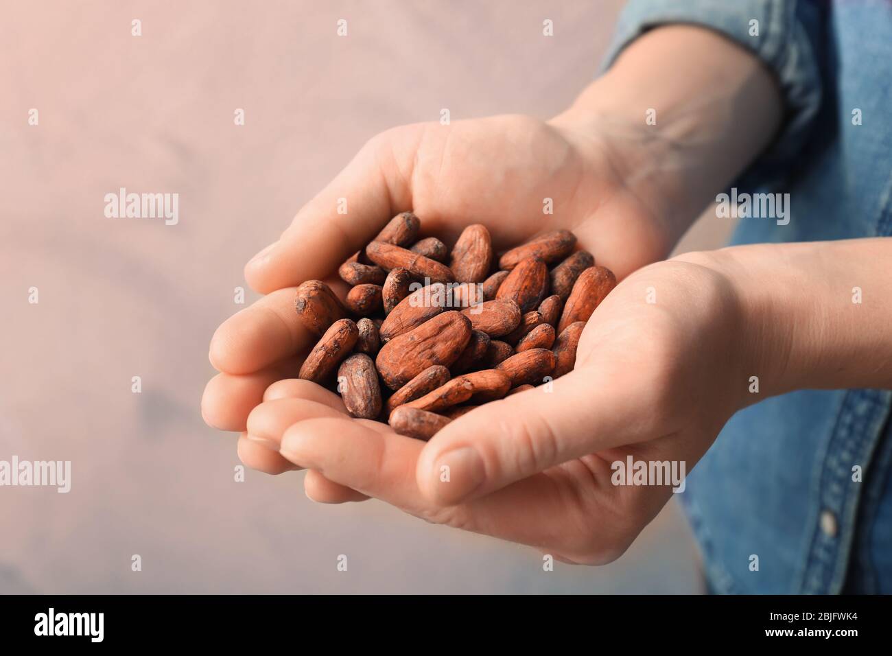 Female hands holding aromatic cocoa beans on light background Stock ...