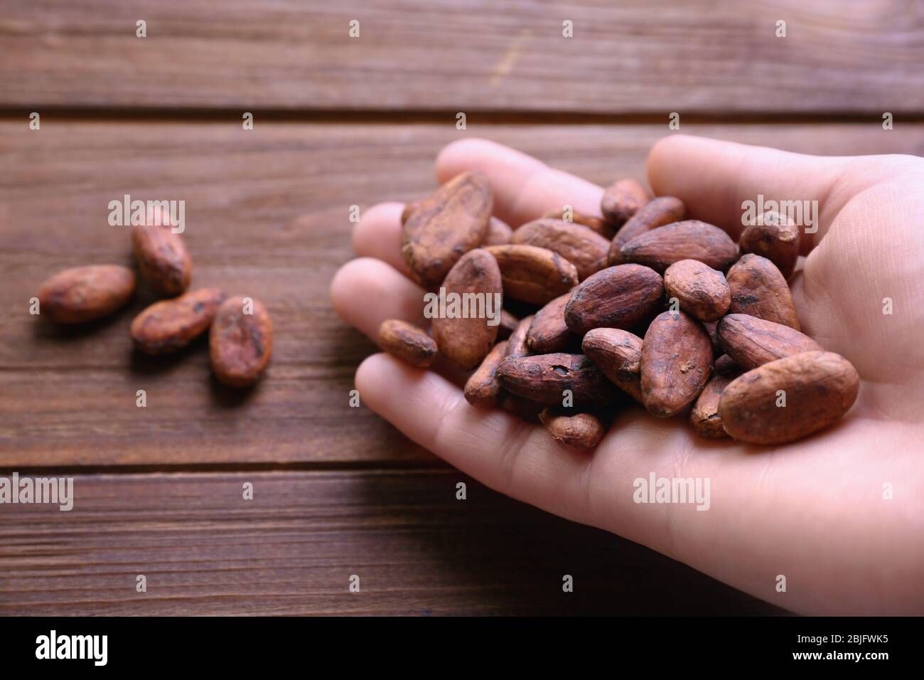 Female hand holding aromatic cocoa beans on wooden background Stock ...
