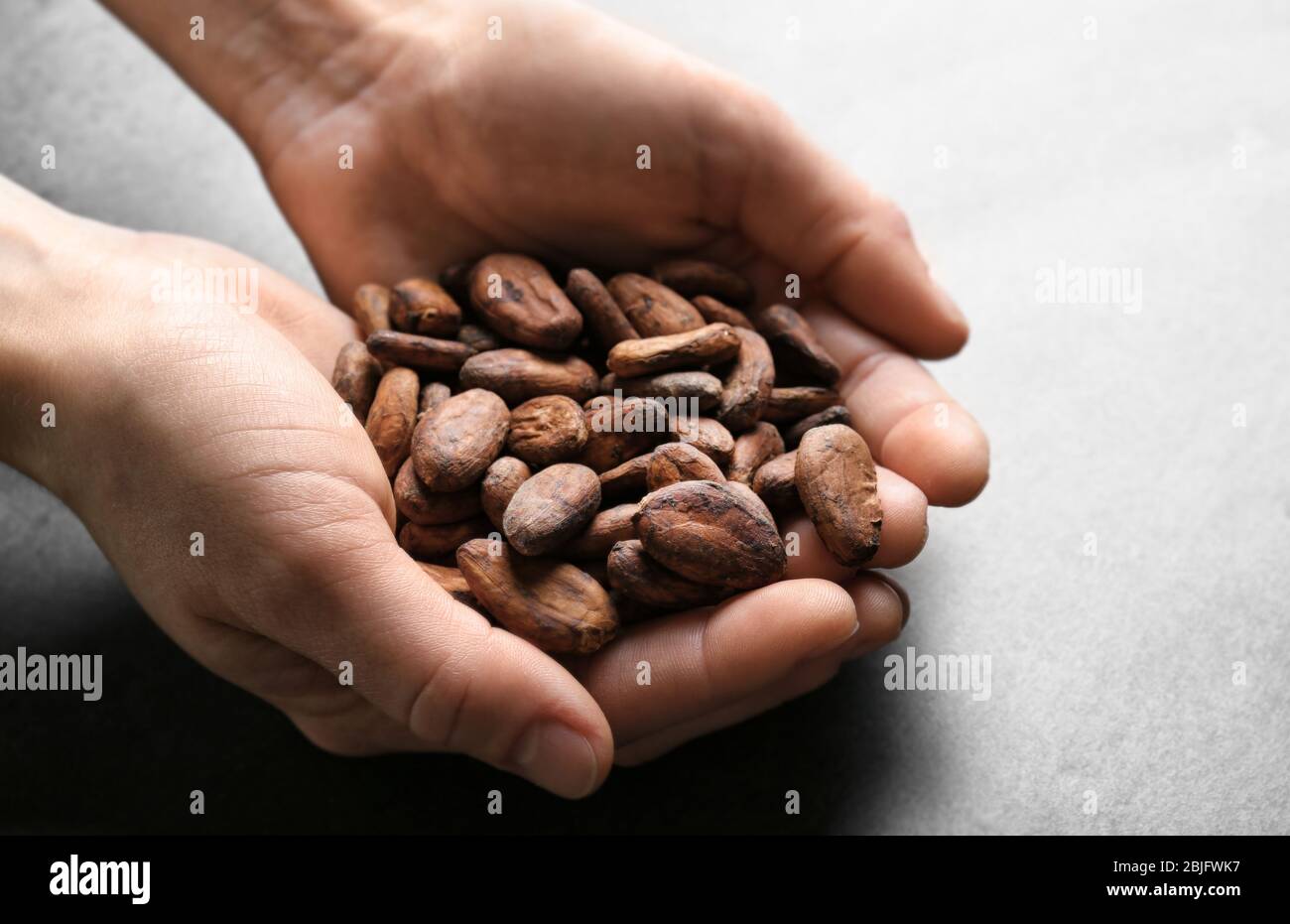 Female hands holding aromatic cocoa beans on gray background Stock ...